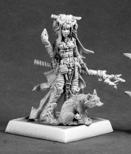 Pathfinder Miniatures (Feiya, Witch And Fox Familiar 60048) RPG 25mm M ...