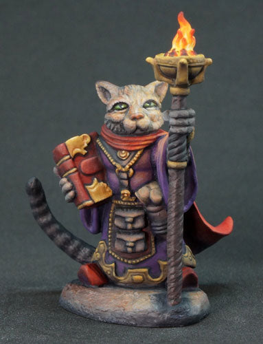 Dark Sword Miniatures (DSM8078 Catfolk Warlock 28mm) – Dark Elf Dice